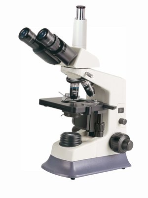 China Laboratory Labeled Compound Microscope , Wide Field Microscopy Eyepiece WF10X / 20 supplier