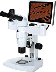 China Compound Digital Lcd Microscope , Infiniview Lcd Digital Microscope  For Schools supplier
