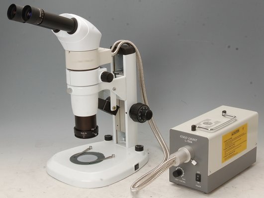 China Infinity Parallel Optical Stereo Light Microscope NCS-800 Series Zoom Ratio 1:10 supplier