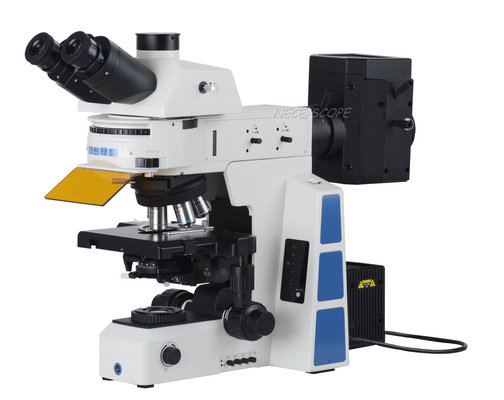 China Polarized Light Fluorescence Microscopy High Eyepoint Wide Field PL10 X 25mm supplier