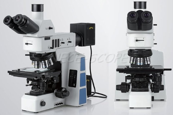 China Phase Contrast Light  Metallurgical Optical Microscope With LCD Conductive Particle supplier