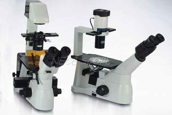 China Biological Laser Scanning Fluorescence Microscopy With OSRAM 100W DC Mercury Lamp supplier