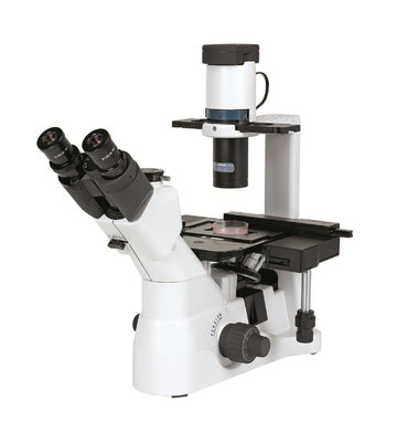 China Phase Contrast Laboratory Biological Microscope With Infinity Long Working Distance supplier