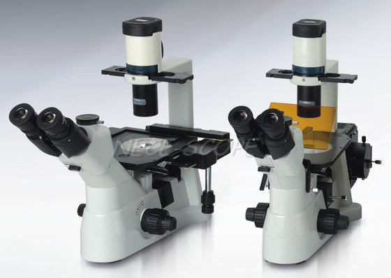 China PL10X22mm Eyepiece Laboratory Biological Microscope 6V 30W Halogen NCQ - 600 supplier