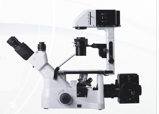 China 6V 30W Tissue Culture Laboratory Biological Microscope Halogen NCQ - 600 φ35mm φ54mm supplier