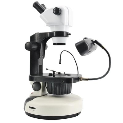 China Wide Field Fluorescence Microscopy , 115mm Working Distance Microscope supplier