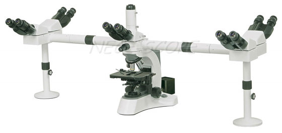 China Binocular Multi Viewing Microscope EW10×/ 20 With  Halogen Lamp supplier