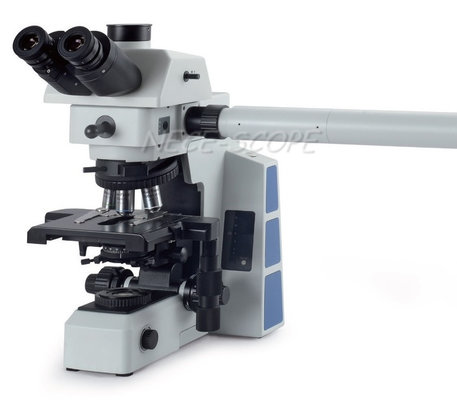 China Wild Stereo Multi View Microscope , Trinocular Stereo Zoom Microscope With Digital Camera supplier