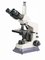 Laboratory Labeled Compound Microscope , Wide Field Microscopy Eyepiece WF10X / 20 supplier