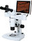 Compound Digital Lcd Microscope , Infiniview Lcd Digital Microscope  For Schools supplier