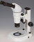 Infinity Parallel Optical Stereo Light Microscope NCS-800 Series Zoom Ratio 1:10 supplier
