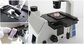 ECO Cell Tissue Fluorescent Inverted Microscope With Infinity Plan Achromatic Objectives supplier