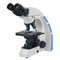 Achromatic Laboratory Biological Microscope With 54 - 75mm Interpupillary Distnace supplier