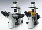 PL10X22mm Eyepiece Laboratory Biological Microscope 6V 30W Halogen NCQ - 600 supplier