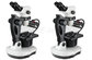 0.67X - 4.5X Fluorescent Zoom Gem Stereo Microscope With Digital Camera supplier