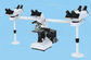 Multi Headed Multi View Microscope Wide Field WF10X For Educational Teaching supplier