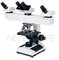 Multi Headed Multi View Microscope Wide Field WF10X For Educational Teaching supplier