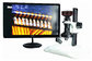 Professional Digital Scanning Electron Microscope , Monocular Compound Light Microscopy supplier
