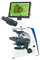 Biological Digital LCD Screen Microscope 1600X With Android OS System supplier
