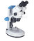 7x - 45x  Binocular Zoom Stereo Microscope With Vertical Sector Base supplier